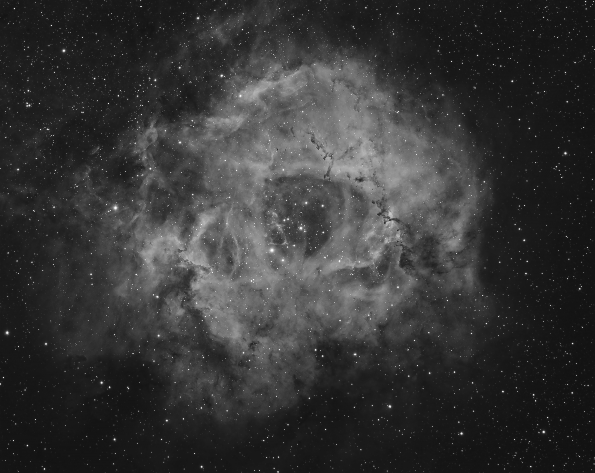 Rosette Nebula - Borg 77ED-II f4.3 & SXVR-694 | First Light Optics