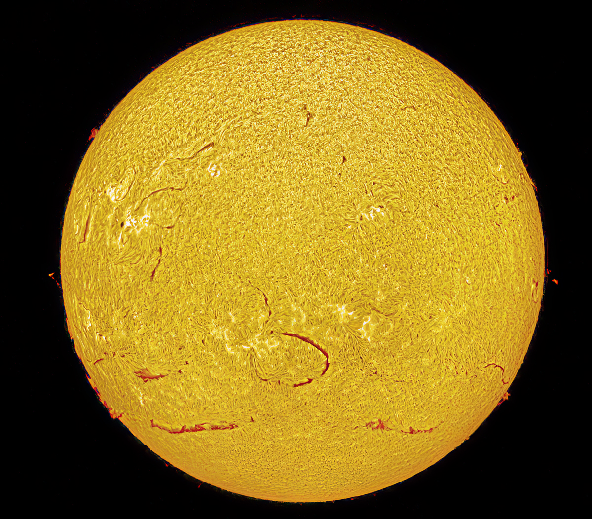 Acuter Elite Phoenix 40 f/10 H-alpha Solar Telescope | First Light Optics