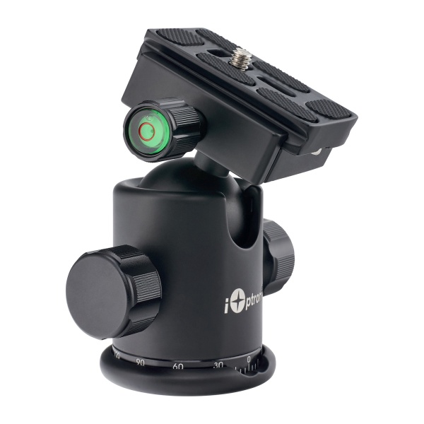 iOptron | First Light Optics