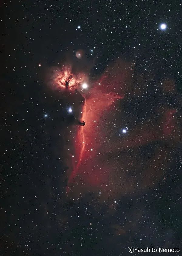 Sightron 2" Quad BP Narrow Band Filter | First Light Optics