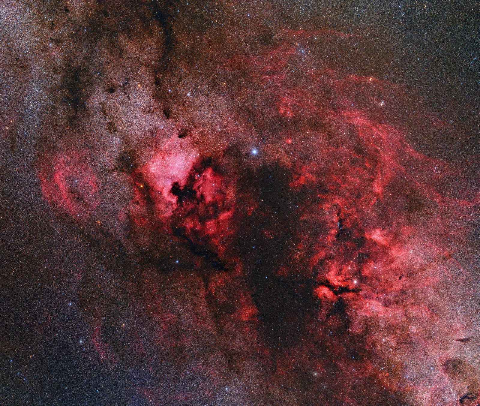 Canon EOS Ra Astro-Modified Mirrorless Camera | First Light Optics